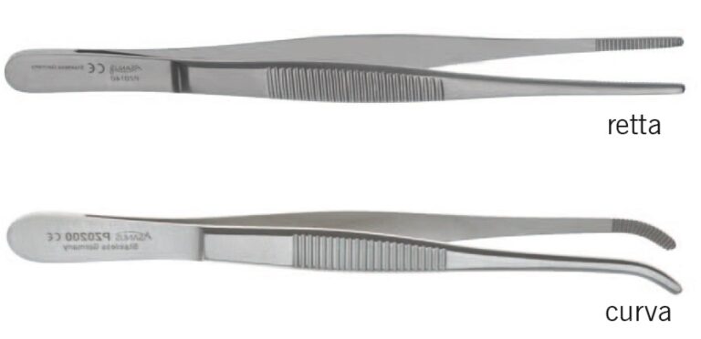 Pinzetta anatomica standard retta o curva - B Life - Il Catalogo Medicale