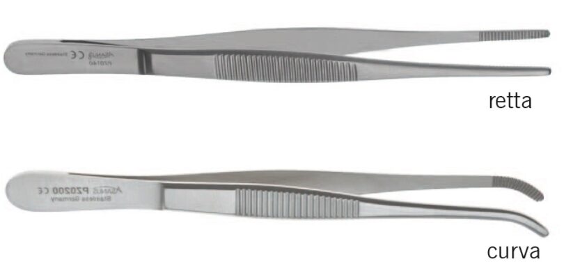 Pinzetta anatomica standard retta o curva - B Life - Il Catalogo Medicale